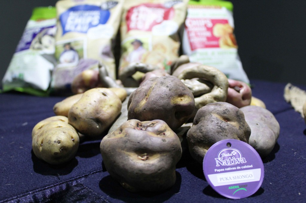 Exportación de papa nativa peruana creció 211% en los últimos cinco ...