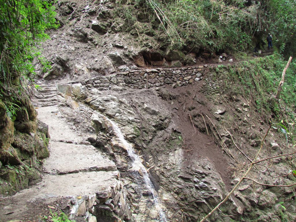 Reabren tramo Chachabamba – Wiñaywayna en Camino de Machu Picchu ...